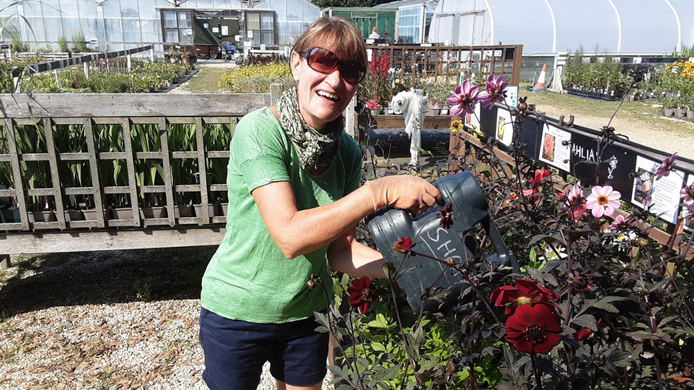 Who We Help – Horncastle Family Foundation